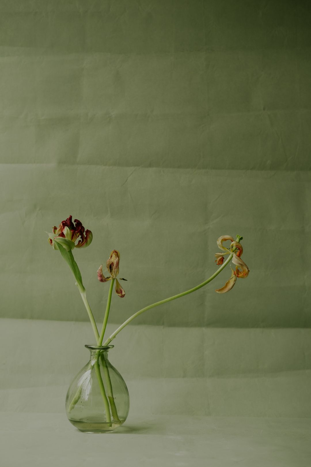 NIKBEN® | A Swedish street fashion & resort wear brand – Nikben